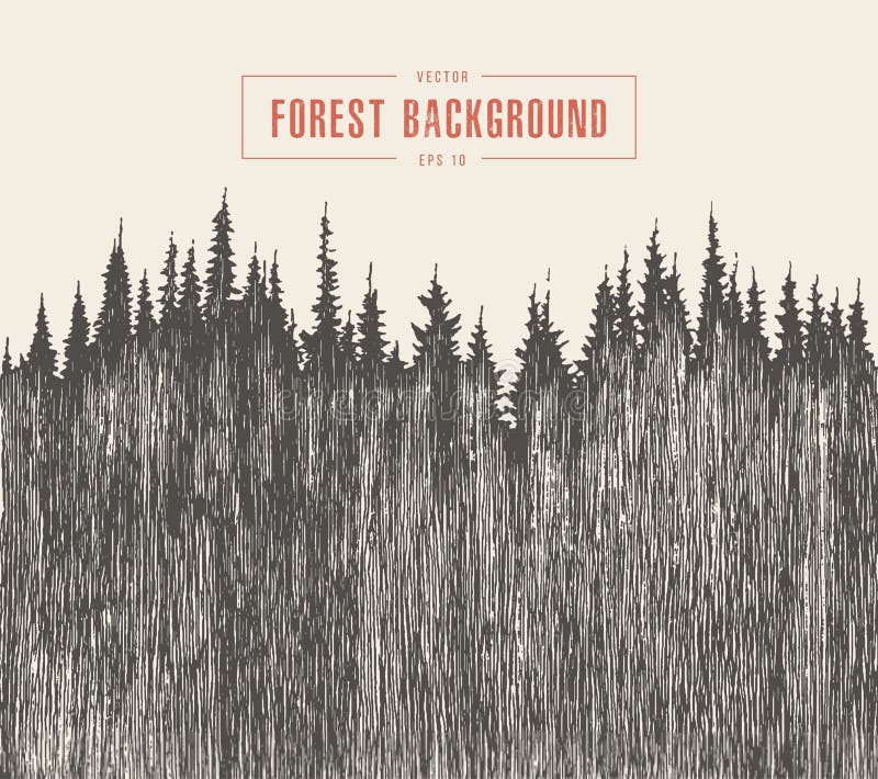 Pine Forest Background Vector Drawn Sketch Stock Vector - Illustration ...