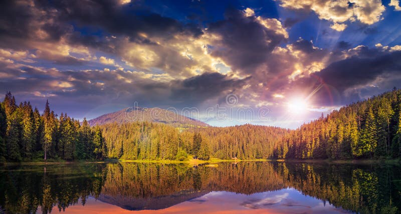 Pine Forest and Lake Near the Mountain Early at Sunset Stock Photo ...