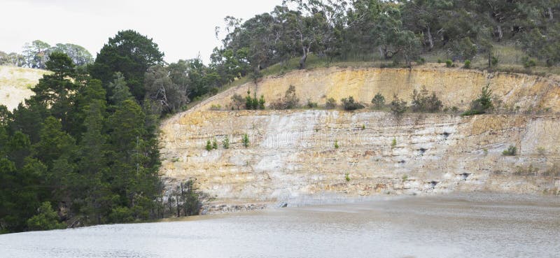 Pine Forest with Lake River Stream during Summer Afternoon Stock Photo ...