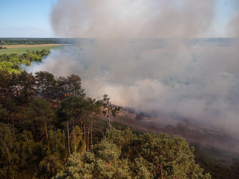 Ecological Problem of Wildfire in the Countryside Stock Image - Image ...