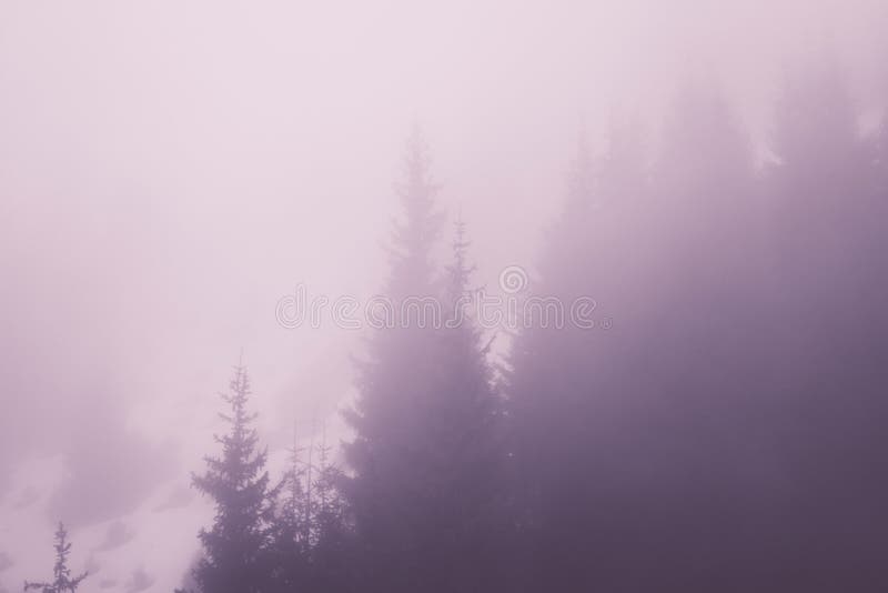 Purple Fog and Mist Effect on Black Background. Smoke Texture . Design ...