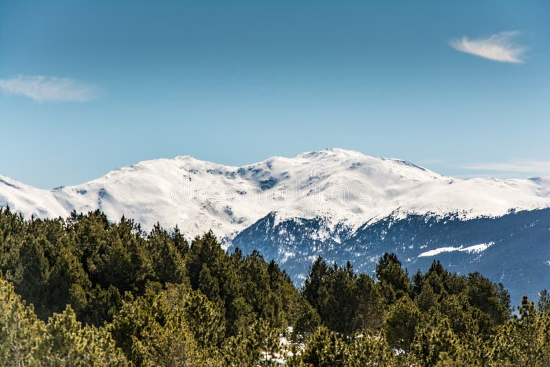 Pine Forest and Pyrenees Mountains Stock Image - Image of mountain ...