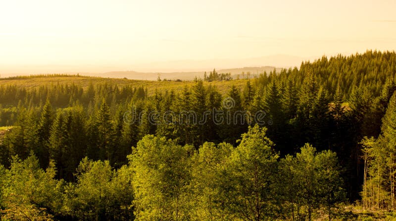 Remote Wilderness of Oregon Stock Photo - Image of sunrise, scenery ...