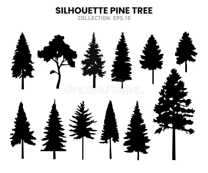 Pine Forest Silhouette Set.Vector Illustration Stock Vector ...