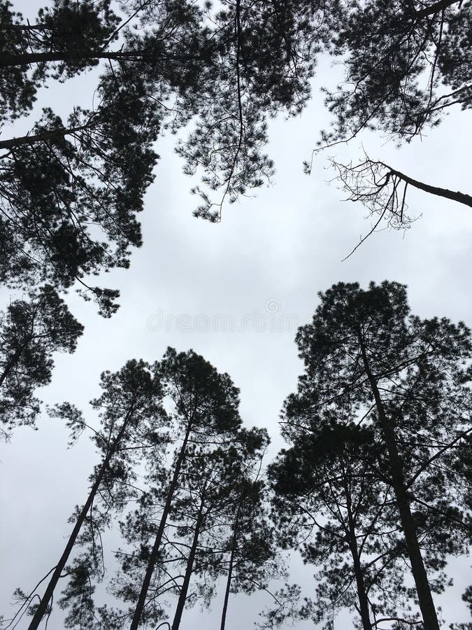 Simarjarunjung Stock Photos - Free & Royalty-Free Stock Photos from ...