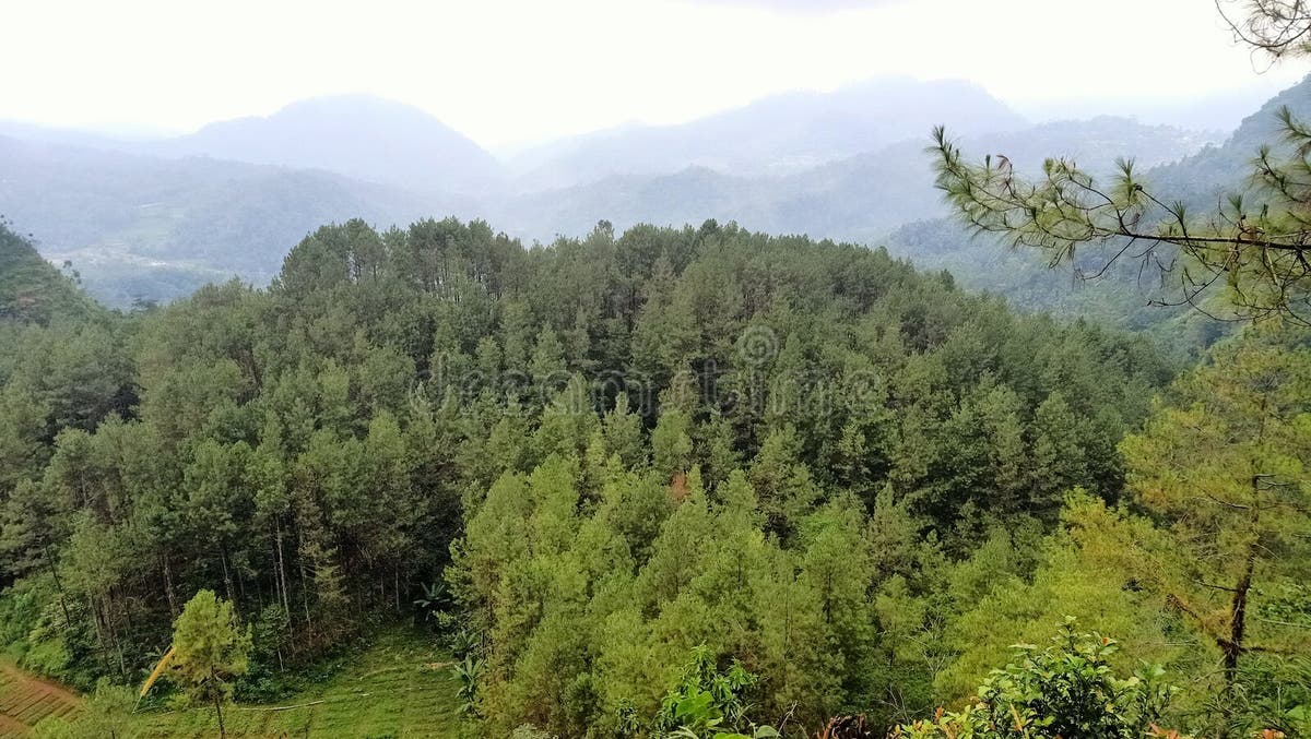 Bruno Area Stock Illustrations – 4 Bruno Area Stock Illustrations ...