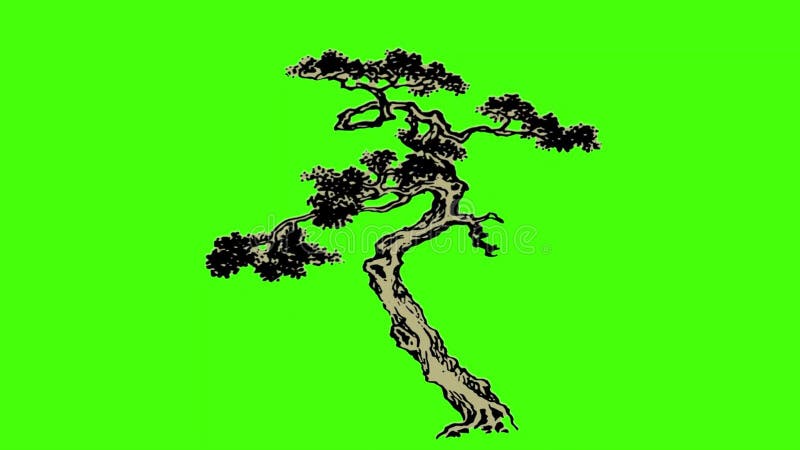 Pine Green Screen Video Animation Stock Footage - Video of pine ...