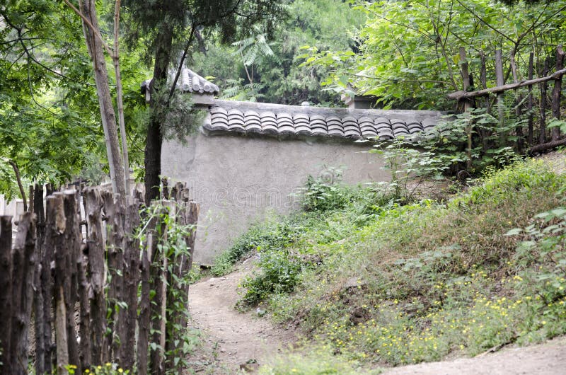 Pine hedge and wall stock photo. Image of roof, tree - 71229678