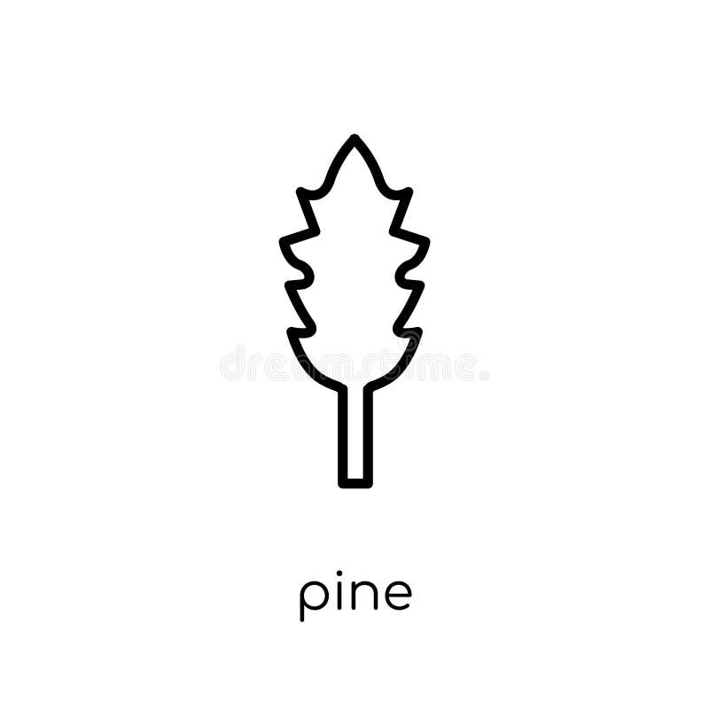 Pine Icon. Trendy Modern Flat Linear Vector Pine Icon on White B Stock ...