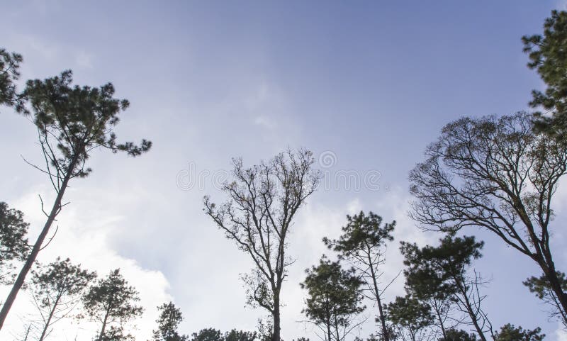 Tilt Angle Glass Block of the Old External Wall Stock Photo - Image of ...