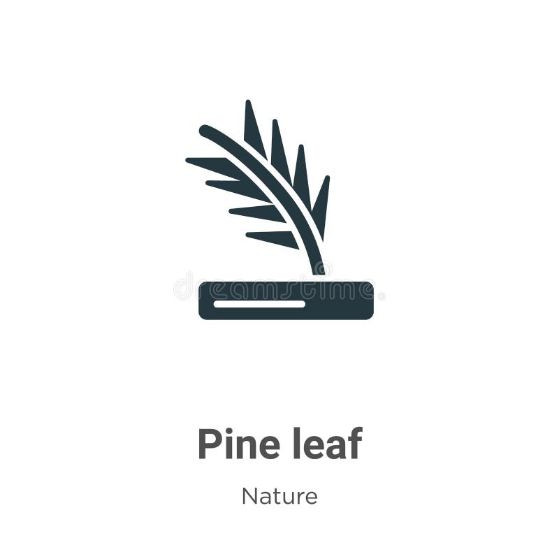 Pine Leaf Vector Icon on White Background. Flat Vector Pine Leaf Icon ...