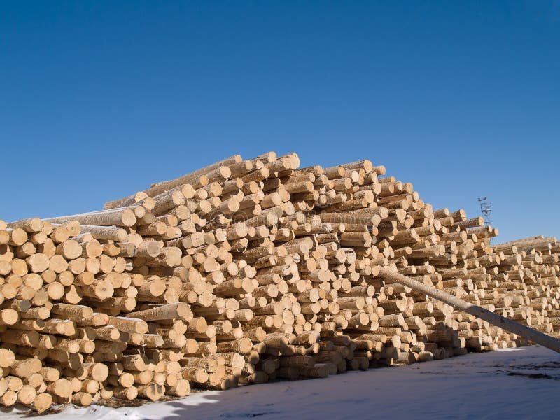 Pine logs stock image. Image of sawn, hardwood, pile - 18962443
