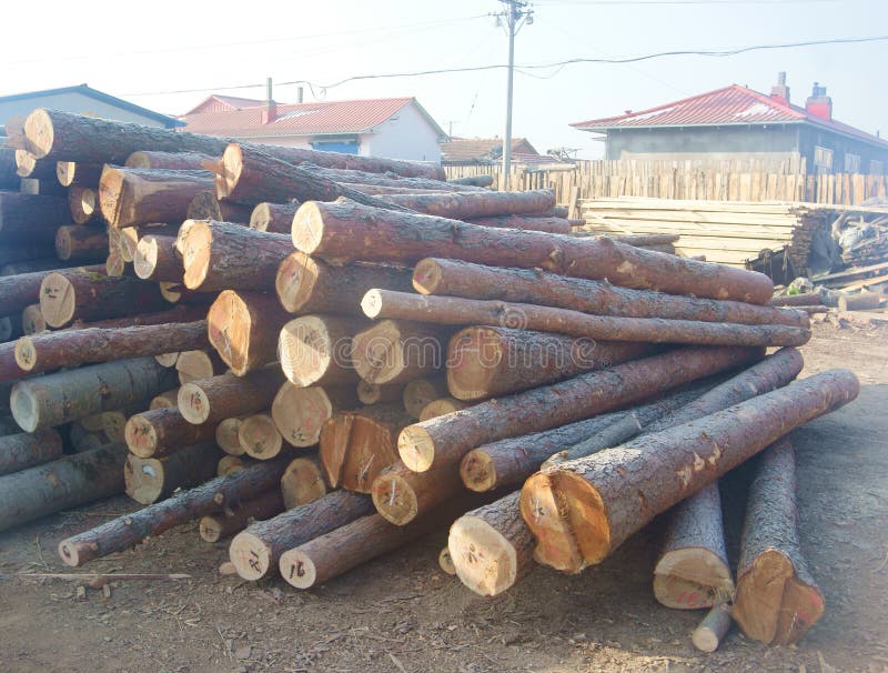 Pine Logs Background stock image. Image of group, wood - 23148977