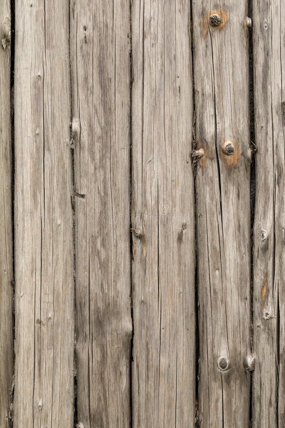 Pine Logs. Log Wall Texture of Natural Pine Logs Stock Image - Image of ...