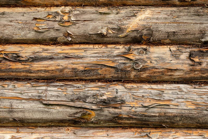 Pine Logs. Log Wall Texture of Natural Pine Logs Stock Image - Image of ...