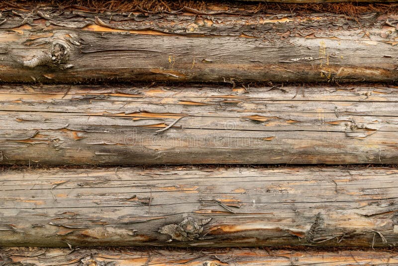 Pine Logs. Log Wall Texture of Natural Pine Logs Stock Image - Image of ...