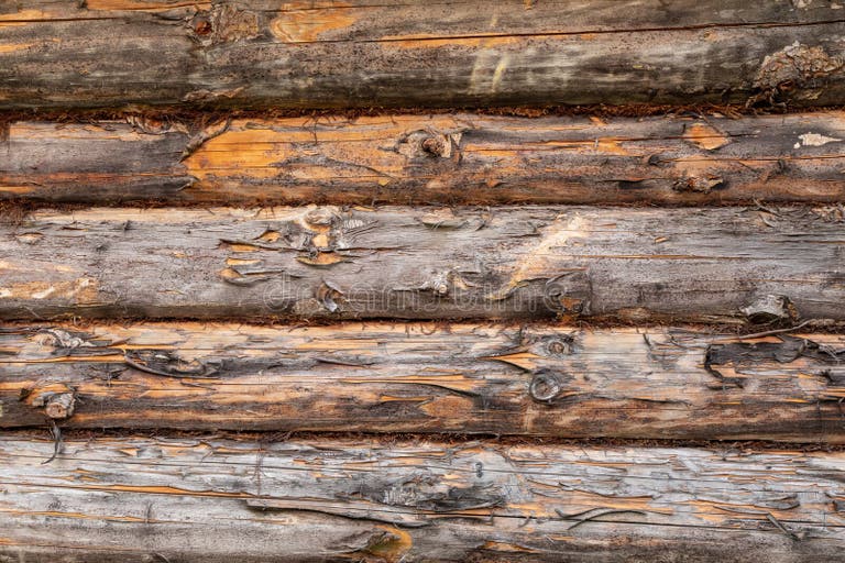 Pine Logs. Log Wall Texture of Natural Pine Logs Stock Photo - Image of ...