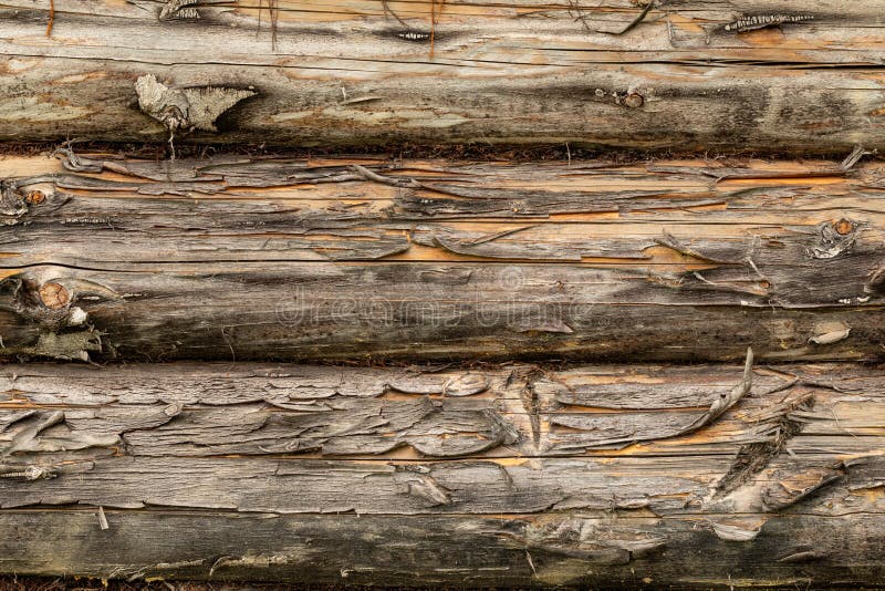 Pine Logs. Log Wall Texture of Natural Pine Logs Stock Image - Image of ...