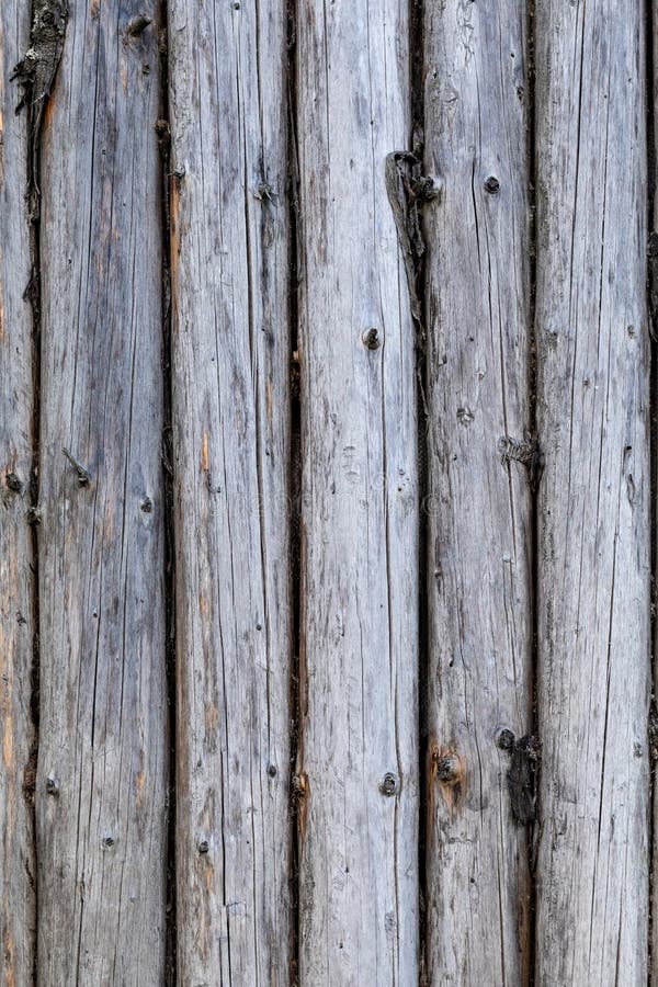Pine Logs. Log Wall Texture of Natural Pine Logs Stock Image - Image of ...