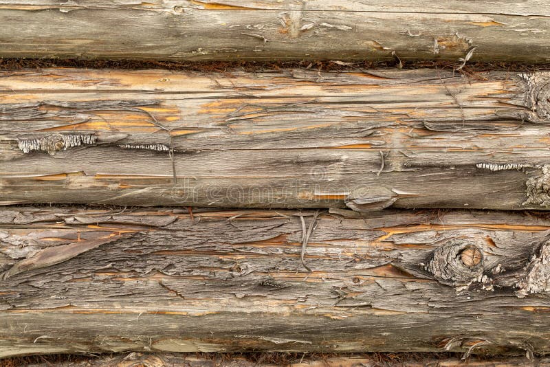 Pine Logs. Log Wall Texture of Natural Pine Logs Stock Image - Image of ...