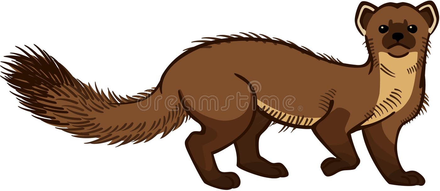 Marten Stock Illustrations – 2,408 Marten Stock Illustrations, Vectors ...