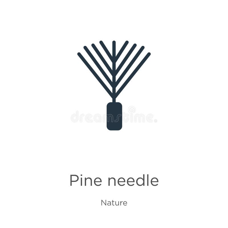 Pine Needle Icon Vector. Trendy Flat Pine Needle Icon from Nature ...