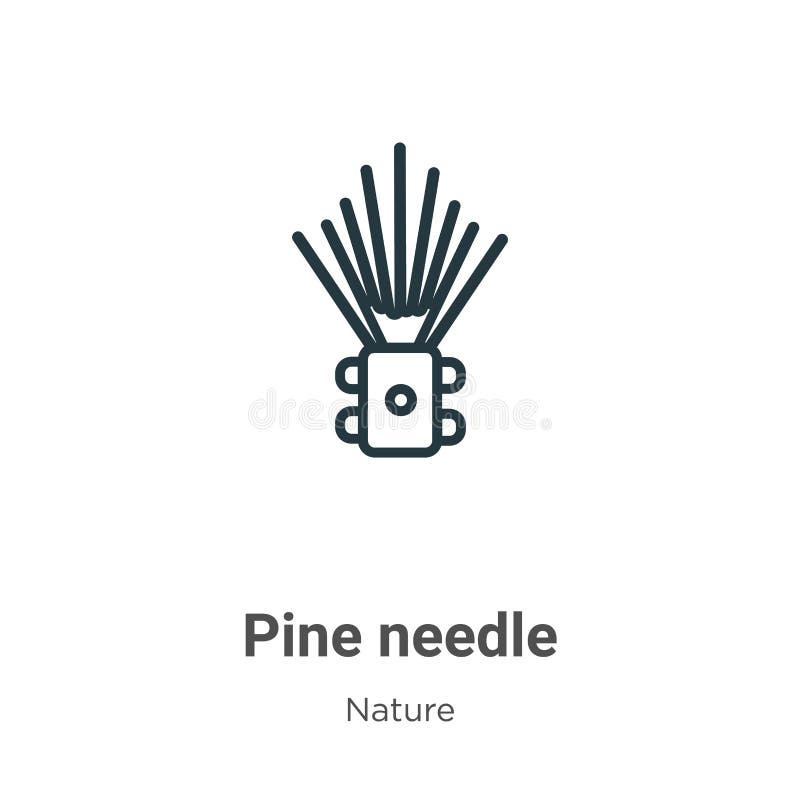 Pine Needle Outline Vector Icon. Thin Line Black Pine Needle Icon, Flat ...