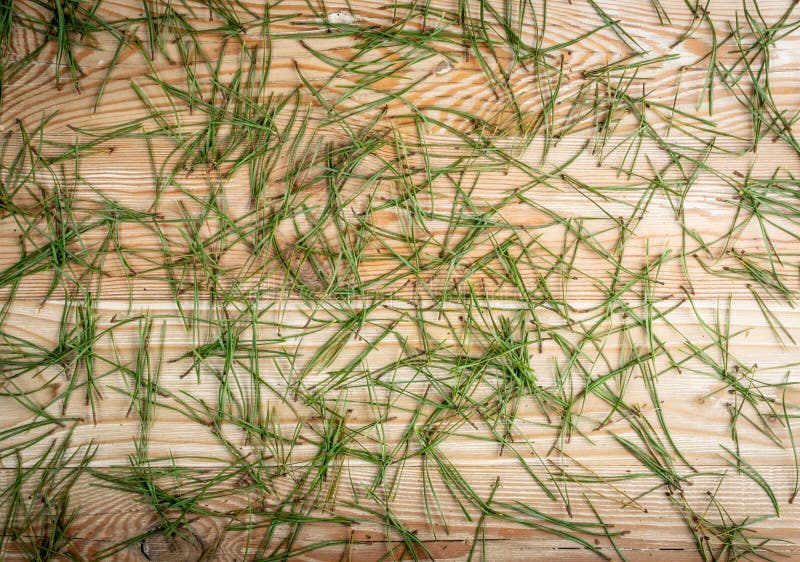 Old pine needles texture stock image. Image of fluffy - 12989603