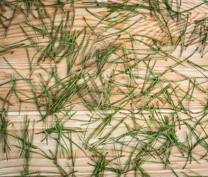 Old pine needles texture stock image. Image of fluffy - 12989603