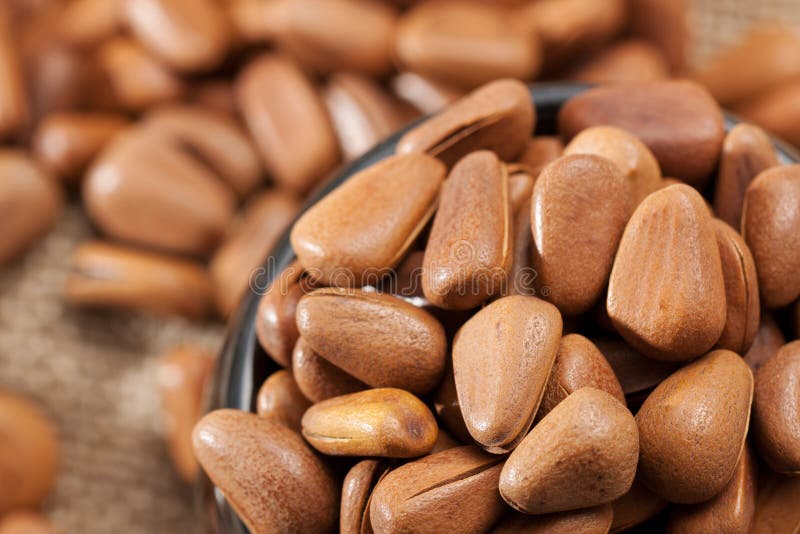 Pine Nut stock photo. Image of cedar, saute, detail, stack - 26632388