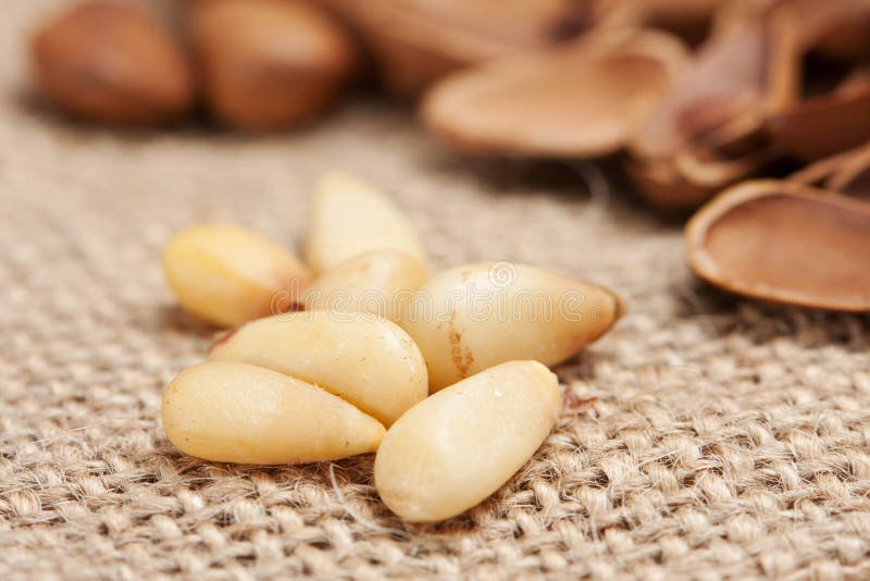Pine Nut stock photo. Image of cedar, nutritious, peel - 26632782