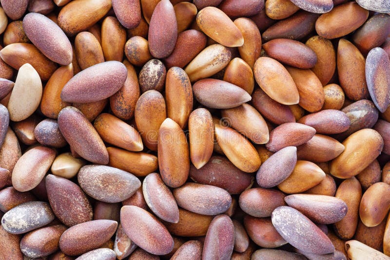 Pine Nut Background stock photo. Image of brown, close - 173657346