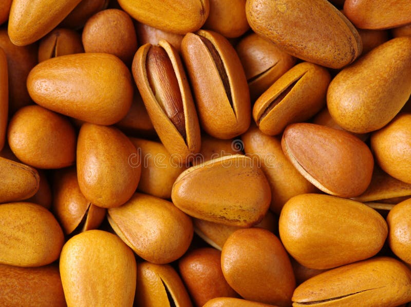 Pine nut stock photo. Image of fruits, nutrient, color - 69274484