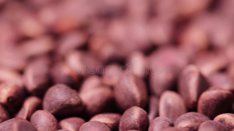 Pine Nut Grains in a Shell in Bulk Stock Footage - Video of gourmet ...