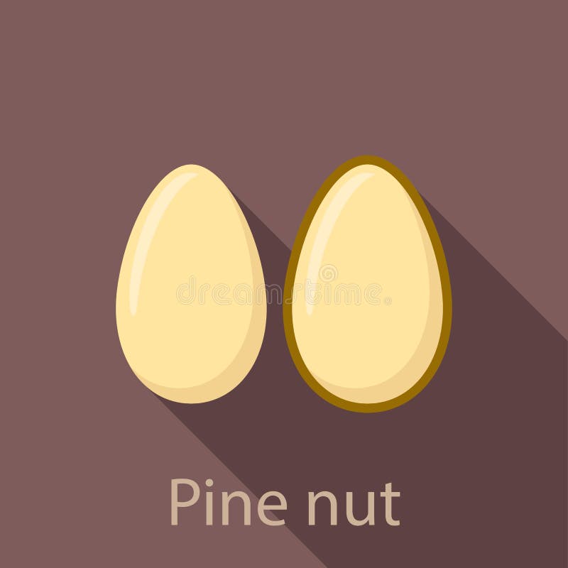 Pine nut icon, flat style stock vector. Illustration of cone - 136617441