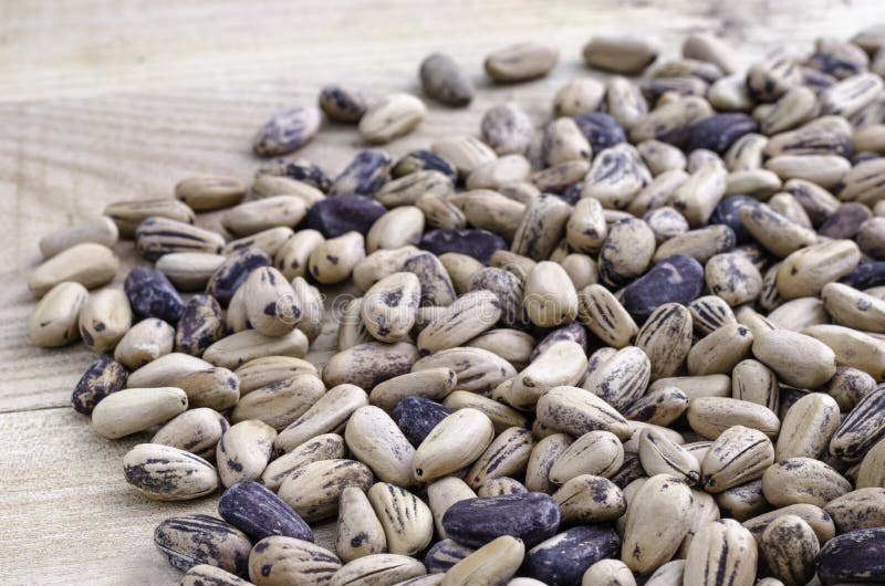 Pine Nut with Shell Over Wood. Stock Image - Image of small, pinecone ...