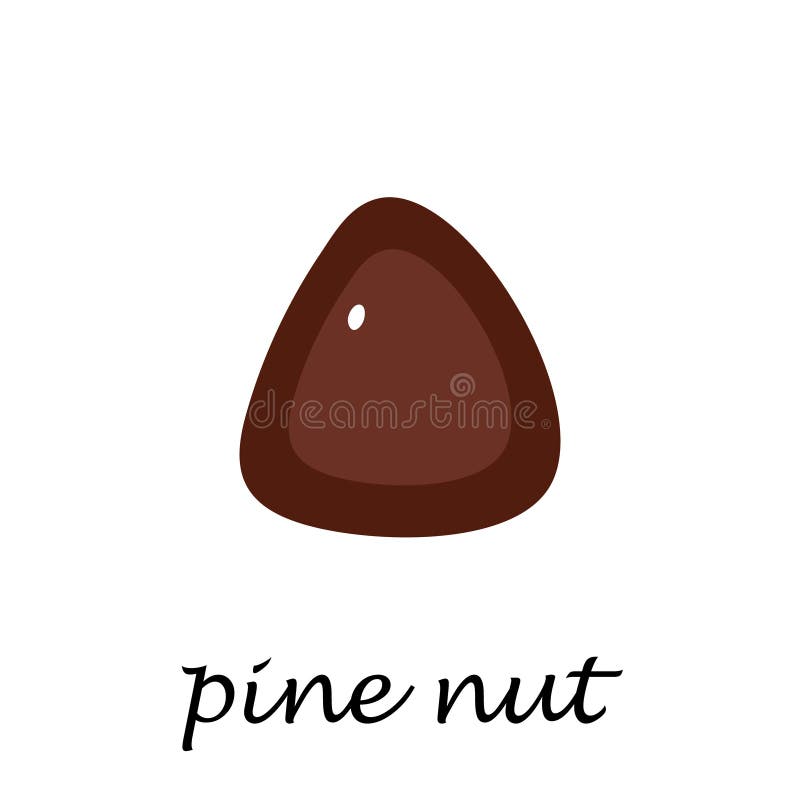 Pine Nut on White Background in Cartoon Style. Stock Vector ...