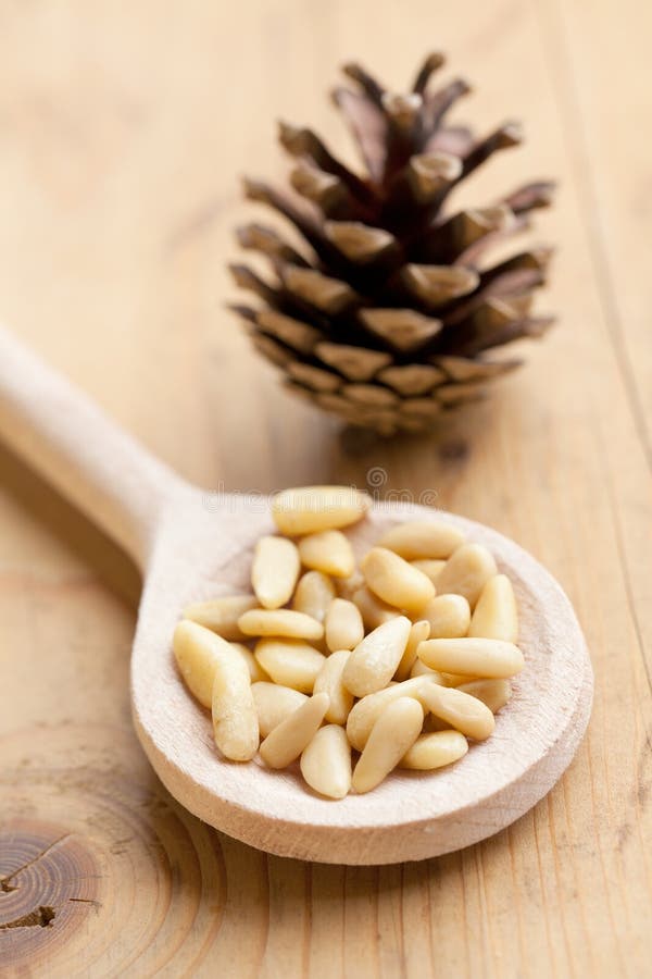 The pine nuts stock image. Image of spice, vegetarian - 16906463