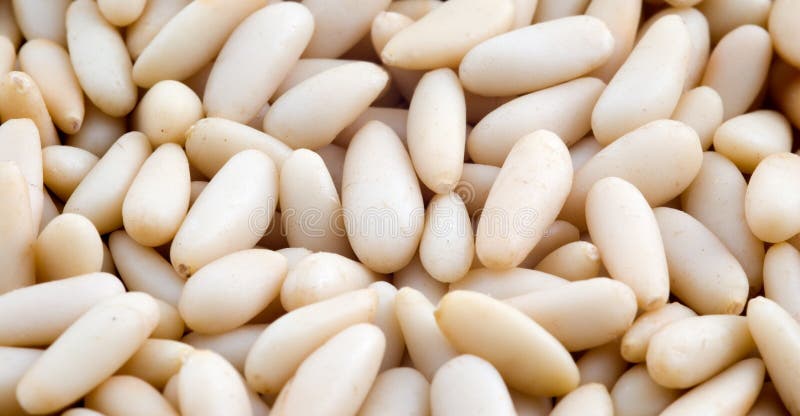 Pine nuts stock photo. Image of pine, handful, macro, diet - 2160576