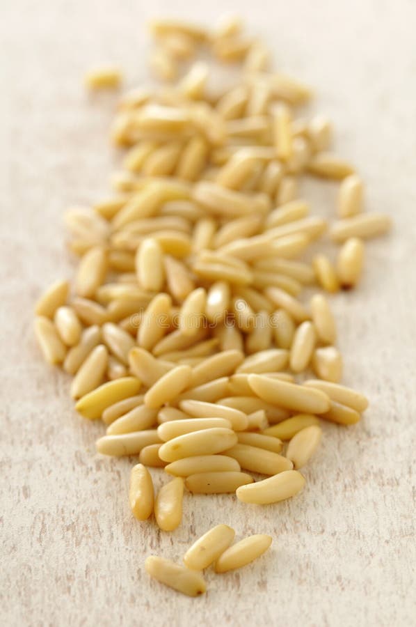 Pine nuts stock image. Image of dried, kernel, color - 23703261