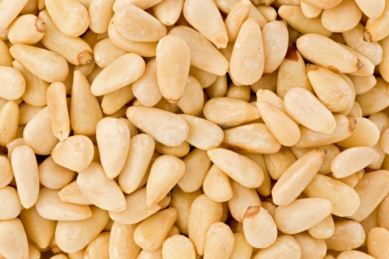 Pine nuts stock image. Image of edible, nuts, macro, cooking - 26678427