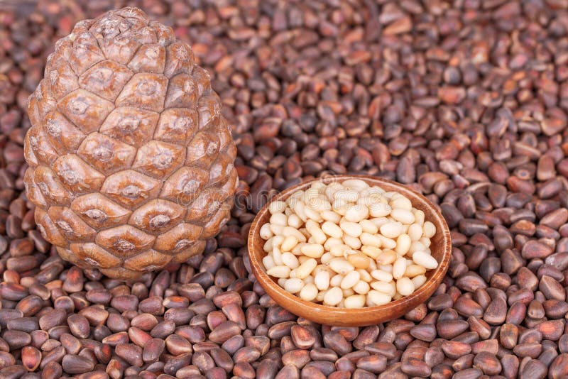 Pine nuts stock photo. Image of vitamin, siberian, nature - 37993900