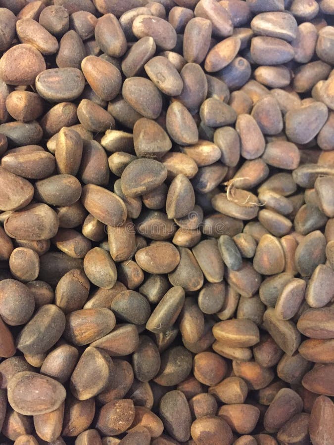 Pine nuts stock image. Image of tasty, delicious, pine - 82219735