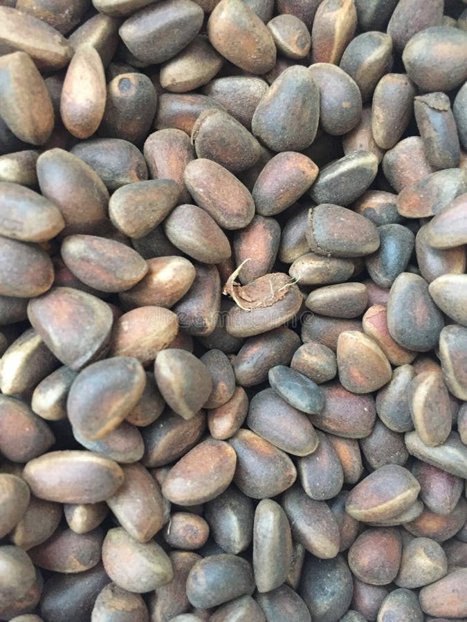 Pine nuts stock photo. Image of bunch, food, meal, pine - 82223466