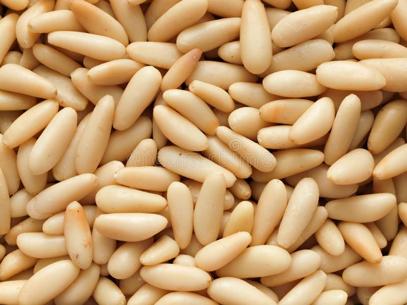 Pine Nuts Close Up stock image. Image of vegetarian, recipe - 17912983