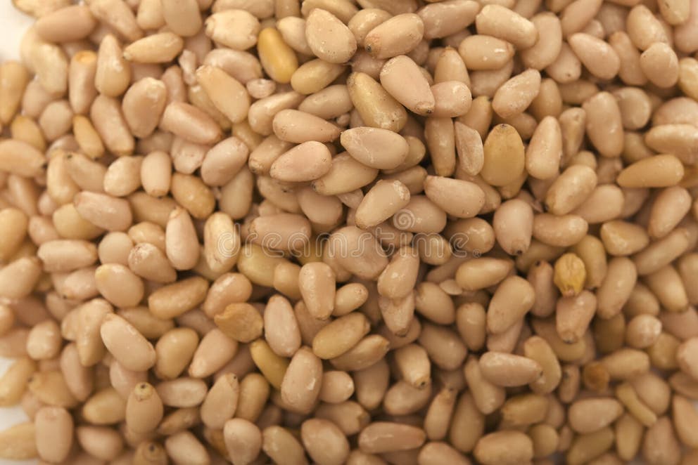 Pine Nuts in Close-up. Hazelnuts Stock Photo - Image of view, seasonal ...