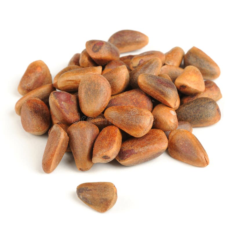 Pine Nuts Isolated on White Background Stock Photo - Image of snack ...