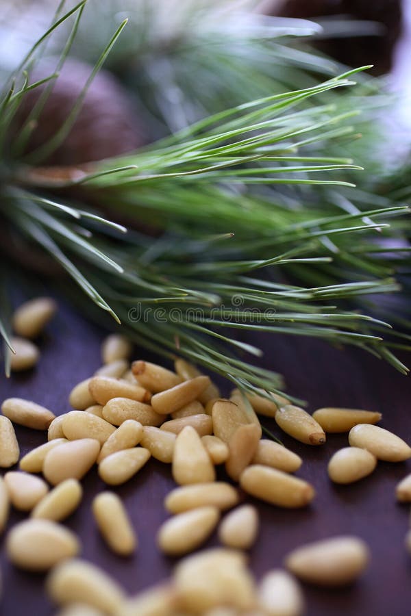 Pine Nuts With Pine Tree Branch - Free Photo from StockFreeImages