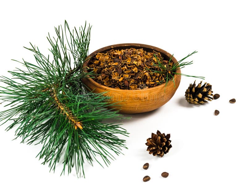 Pine Nuts Shell in the Bowl, Cedar Branch, Nuts and Cones on White ...