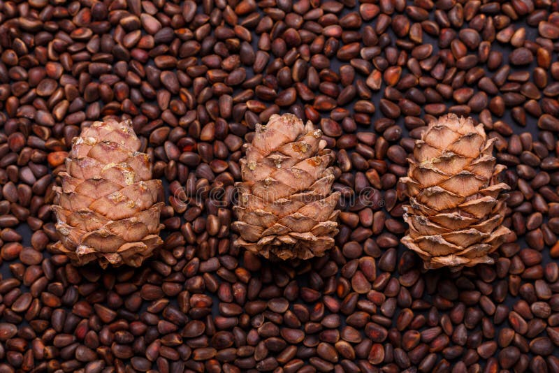 Pine Nuts in Shells As a Background Three Hole Cedar Cones Copy Space ...